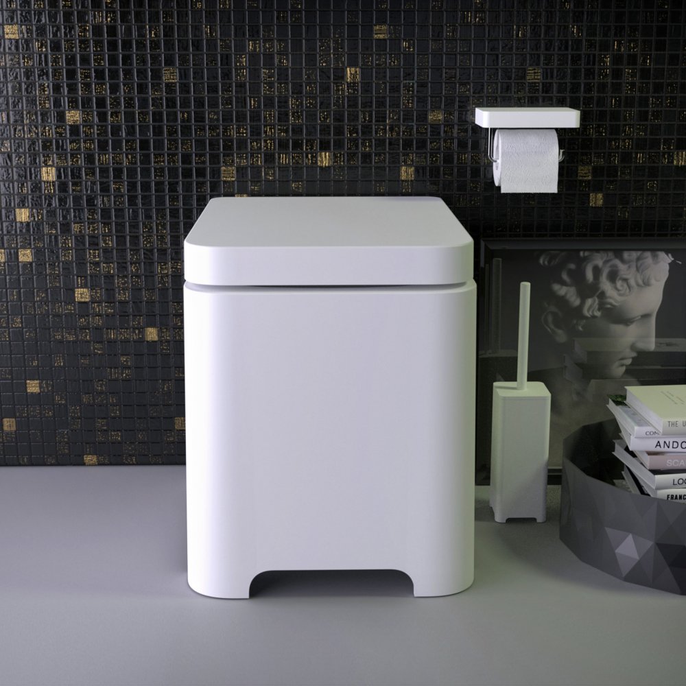 Washlet™ RG Lite | WC And Bidets