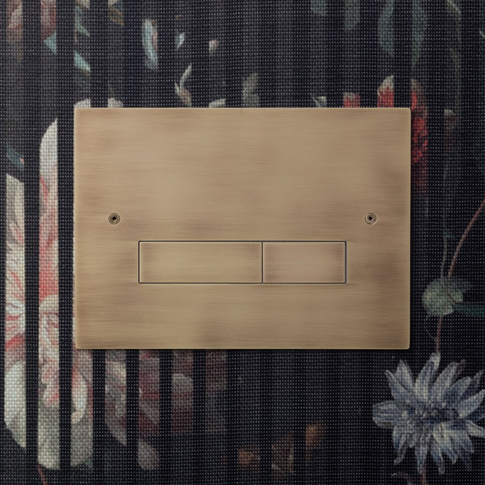 Omega Flush Plate | WC And Bidets | West One Bathrooms