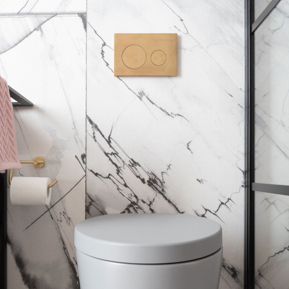 Omega Flush Plate | WC And Bidets | West One Bathrooms